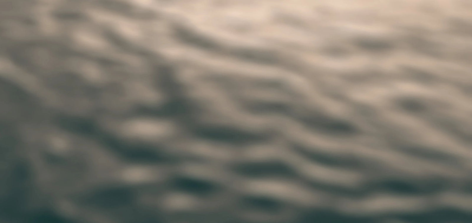 OUTLET - Desolve Supply Co. | NZ