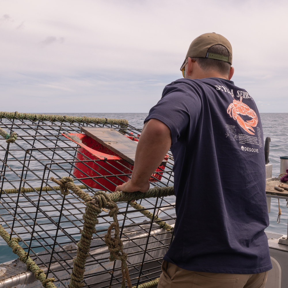 DESOLVE | Take To The Water